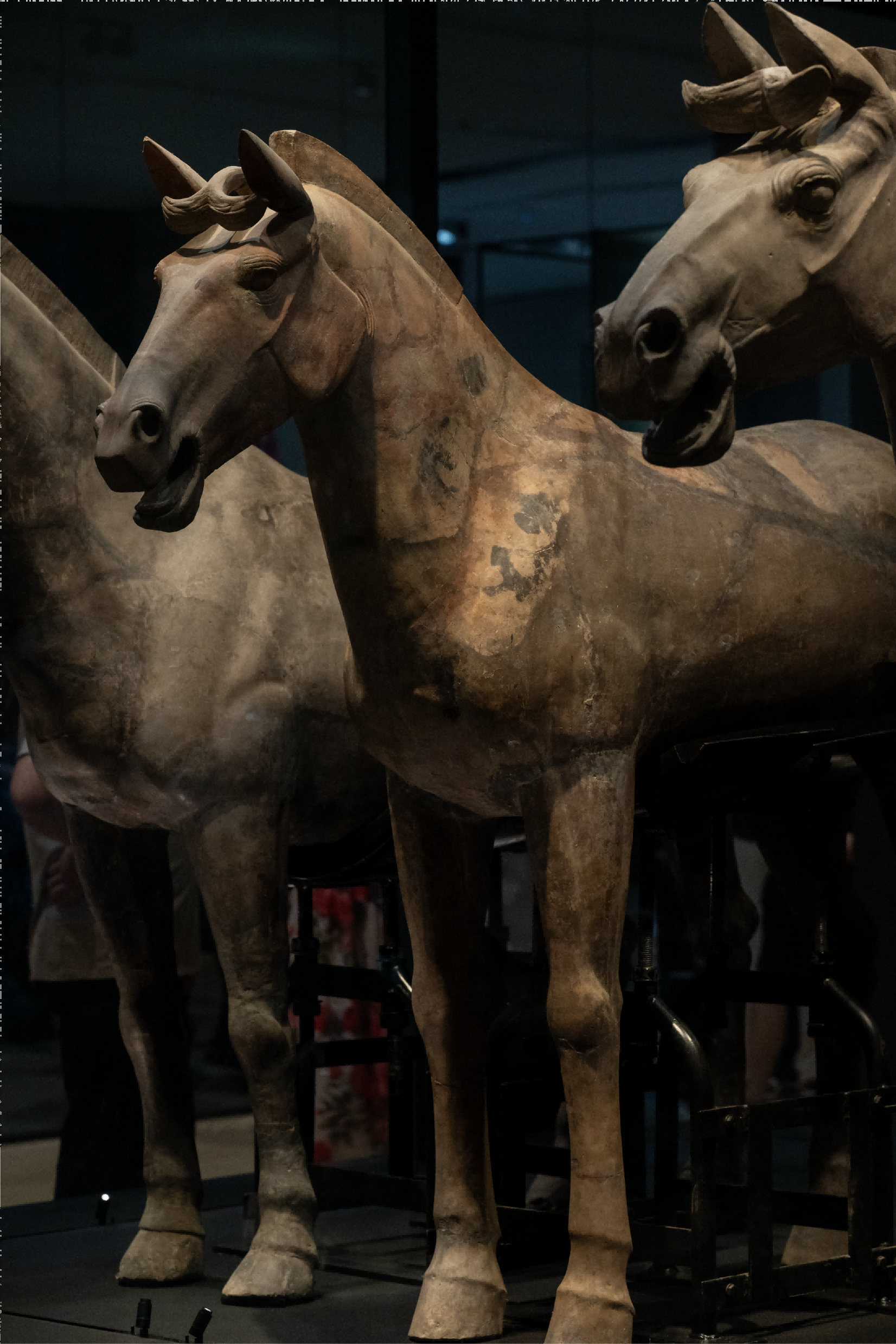 Emperor Qinshihuangs Mausoleum Site Museum - akzu